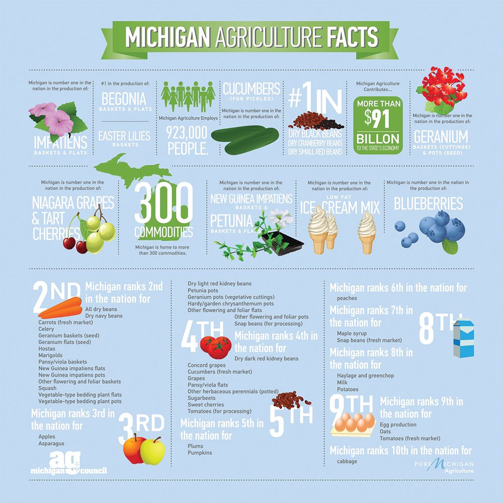 Tourists and Meetings Flock to Michigan | Corp! Magazine