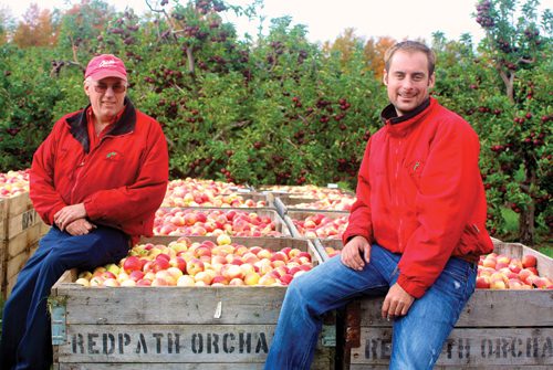 Apple Crop Near Record as Harvest Bounces Back for Second Year After ...