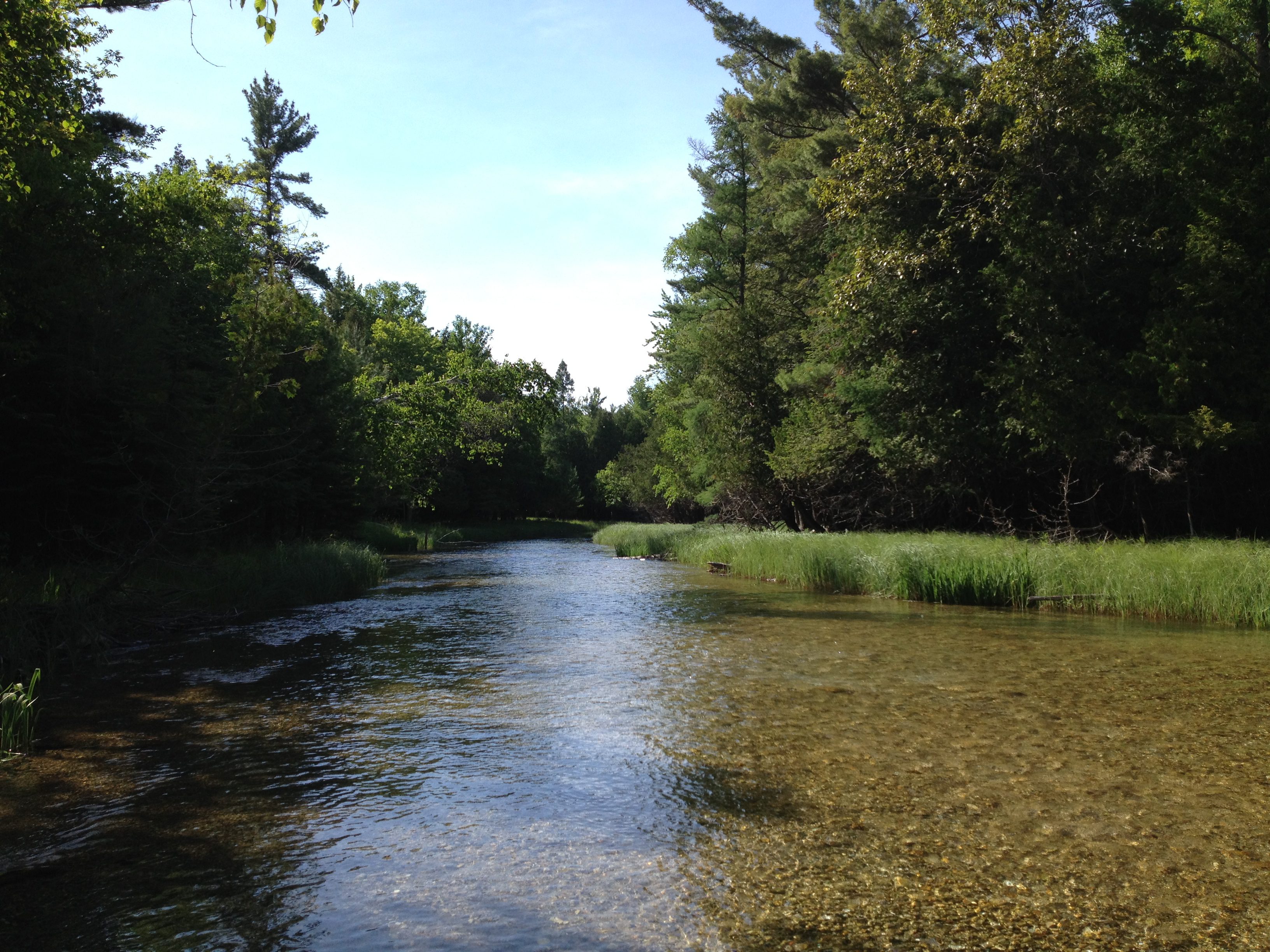 Pure or Impure Michigan? | Corp! Magazine